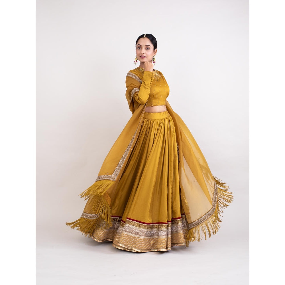 Monika Mathuria Datta Mustard Embroidered Stitched Blouse with Lehenga ...