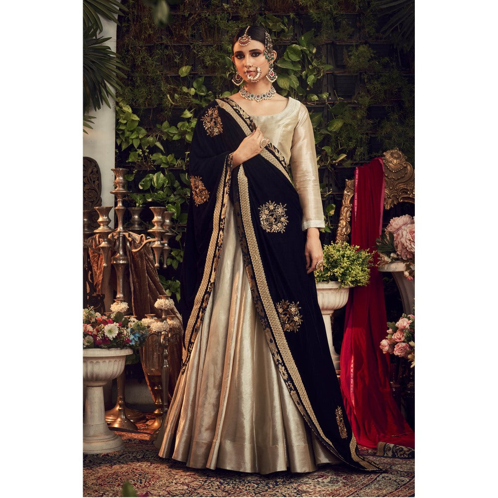 Ranian Beige Round Neck Blouse with Lehenga and Navy Blue Velvet Dupat ...