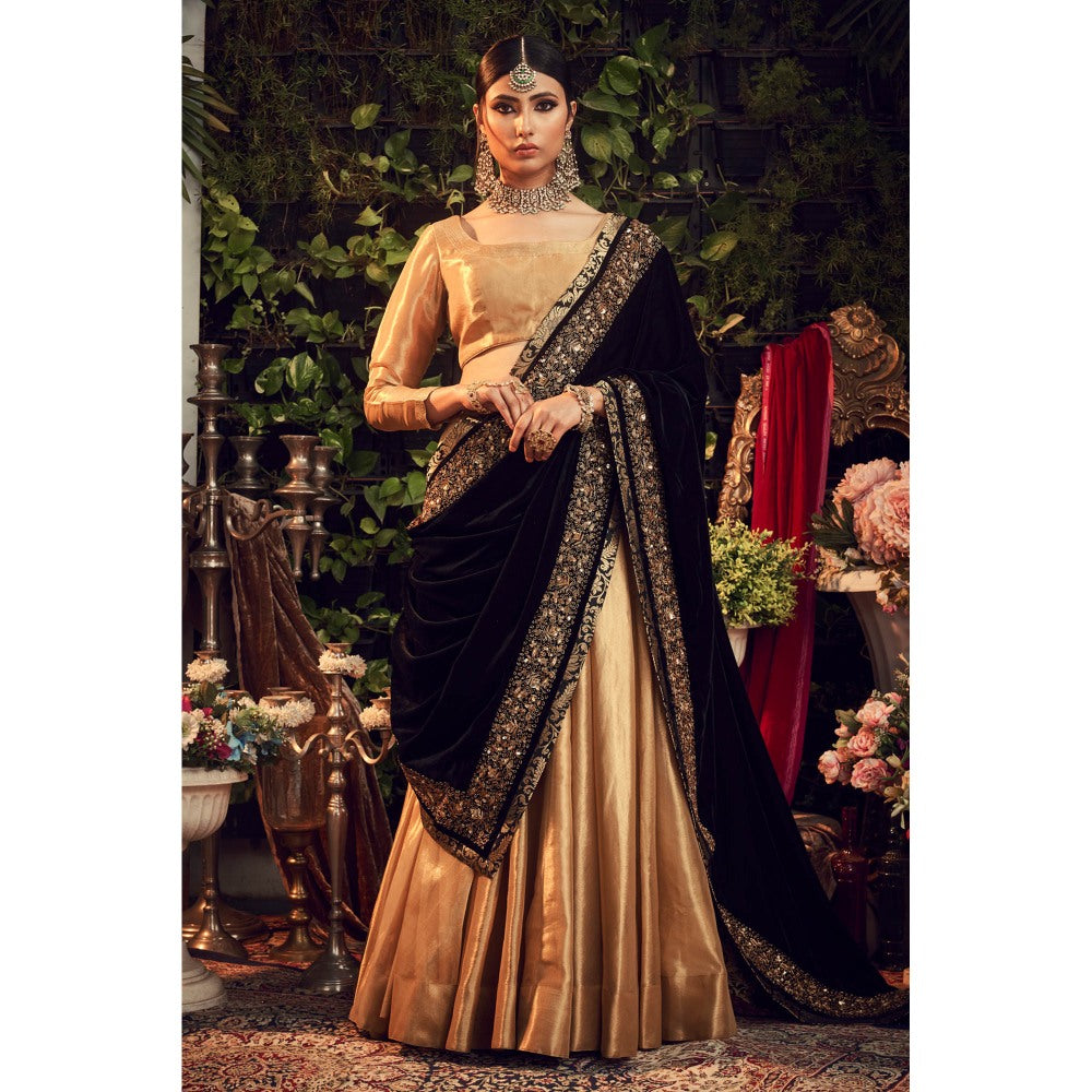 Ranian Oxidized Gold Lehenga and Blouse with Black Velvet Dupatta (Set ...