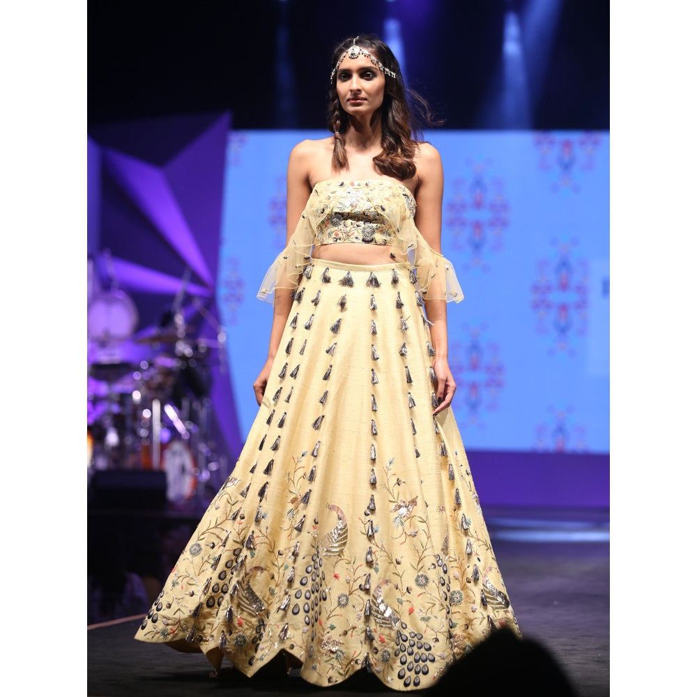 Payal Singhal Nazan Embellished Scallop Lehenga with Bustier Top (Set ...